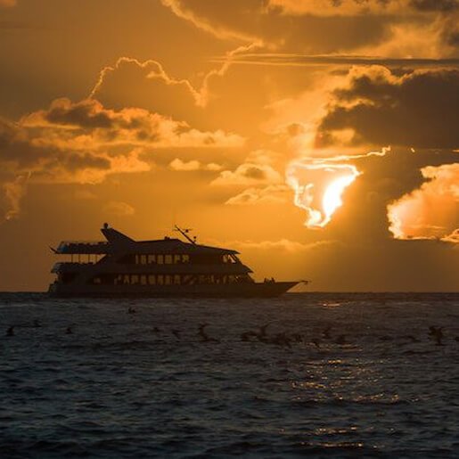 Naples Princess - Southwest Florida Travel