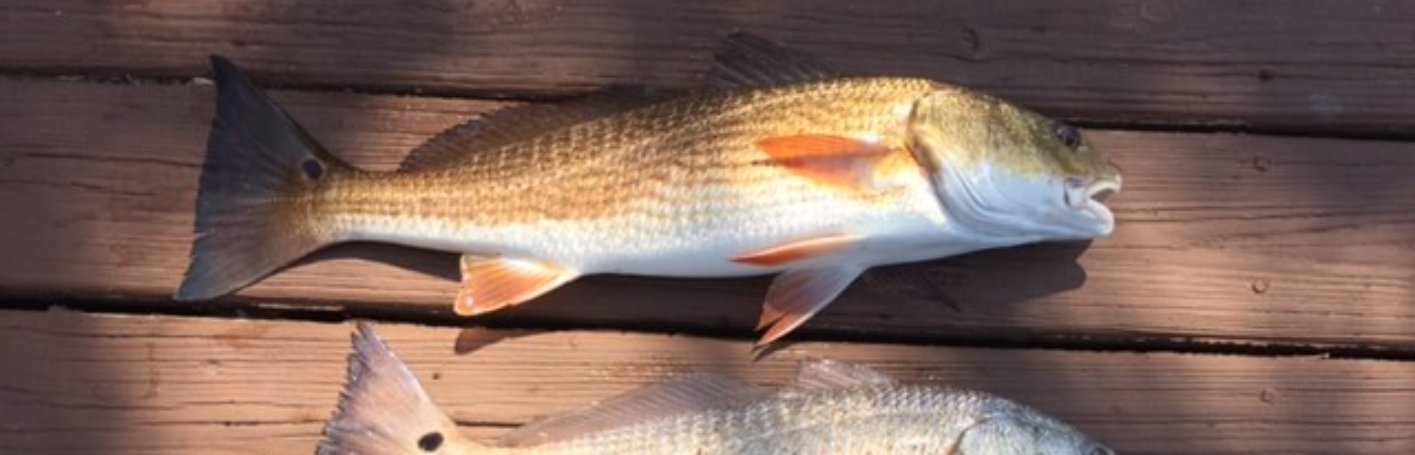 O'cannon Snook Fishing Tournament- Cabbage Key