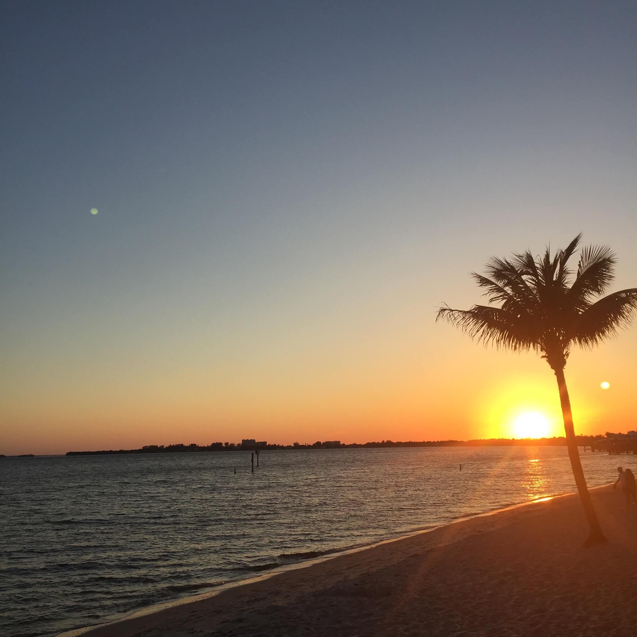 You Know You're a Floridian When- Blog - Southwest Florida Travel