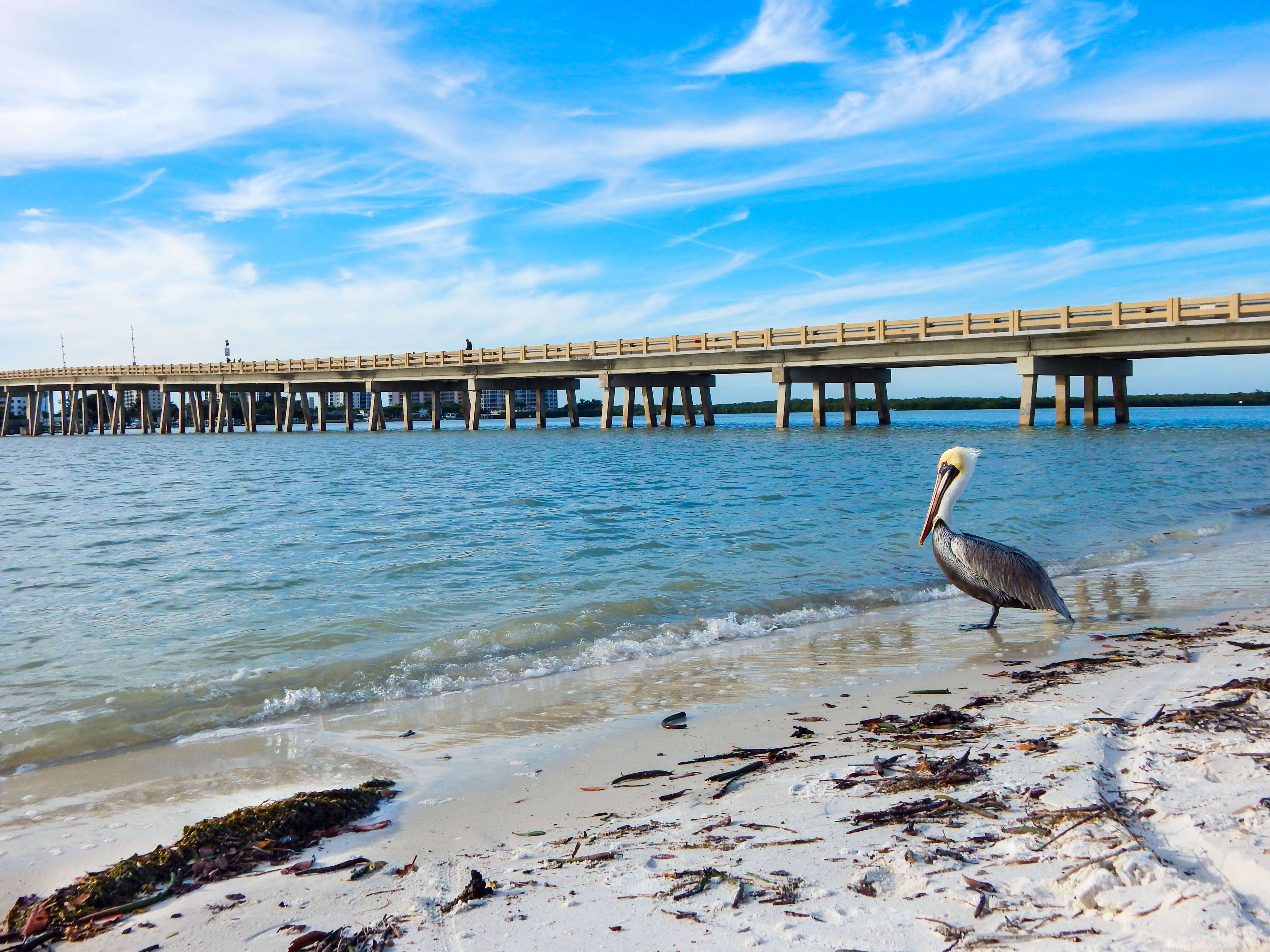 Water You Waiting for! - Southwest Florida Travel