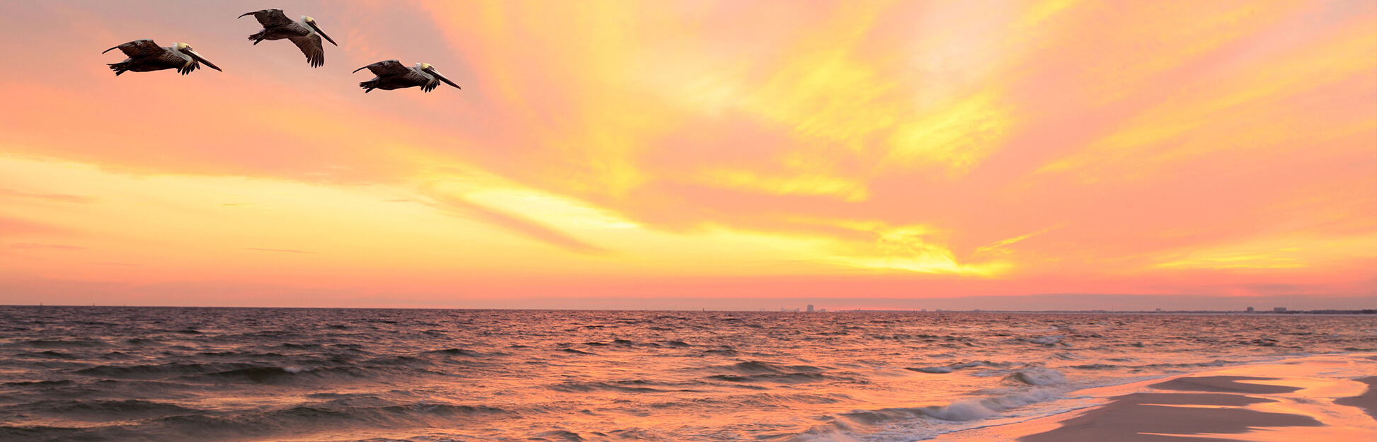 Weather - Southwest Florida Travel